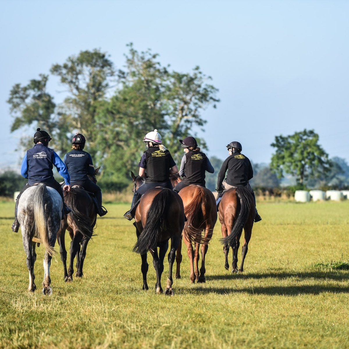 Gallery – Sandy Thomson Racing