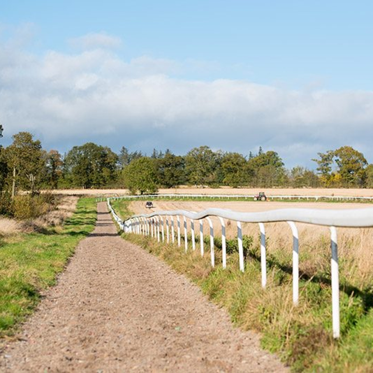 Gallery – Sandy Thomson Racing