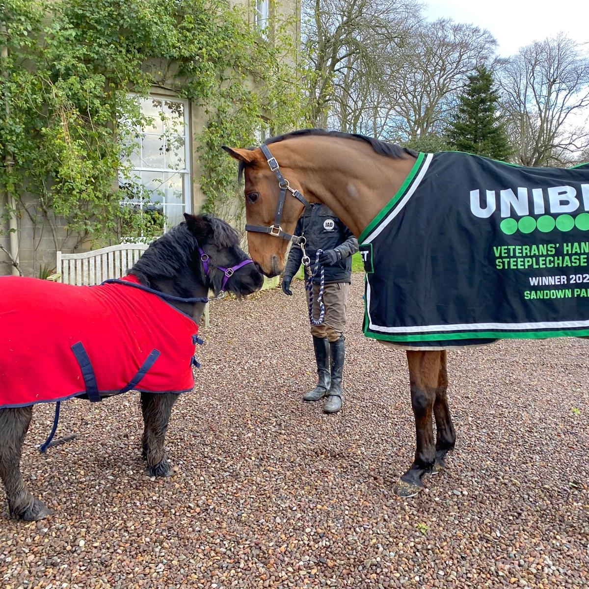 Gallery – Sandy Thomson Racing