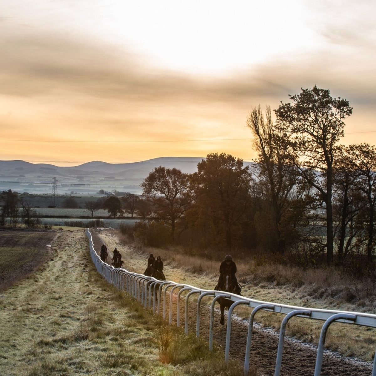 Gallery – Sandy Thomson Racing