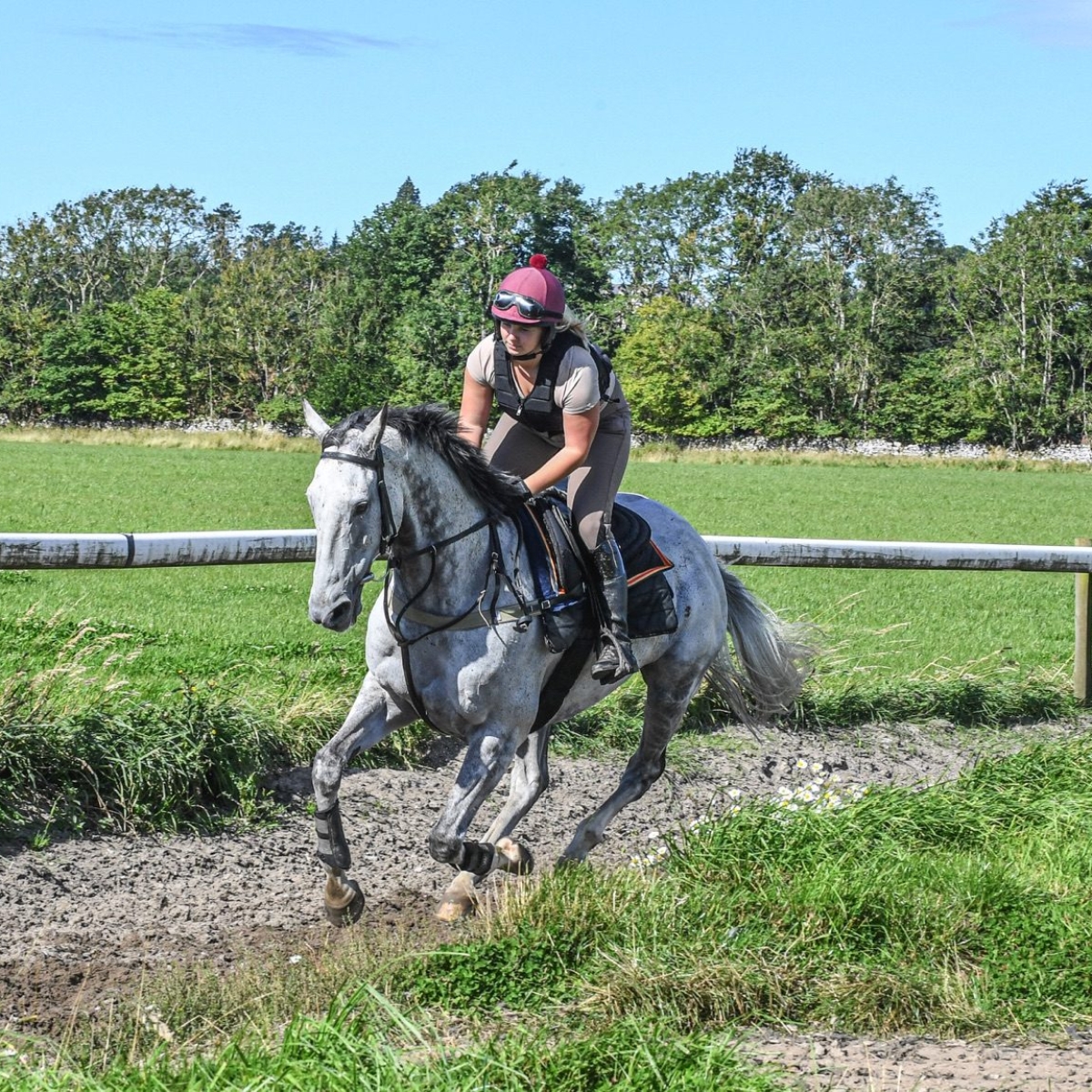 Gallery – Sandy Thomson Racing