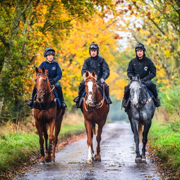 Gallery – Sandy Thomson Racing