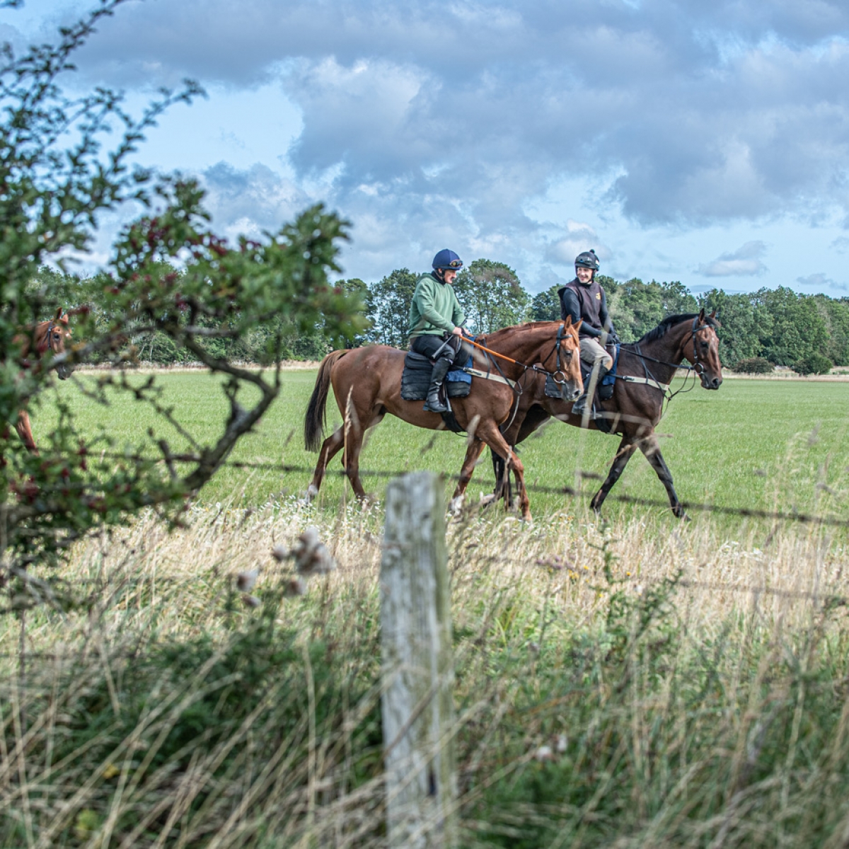 Gallery – Sandy Thomson Racing