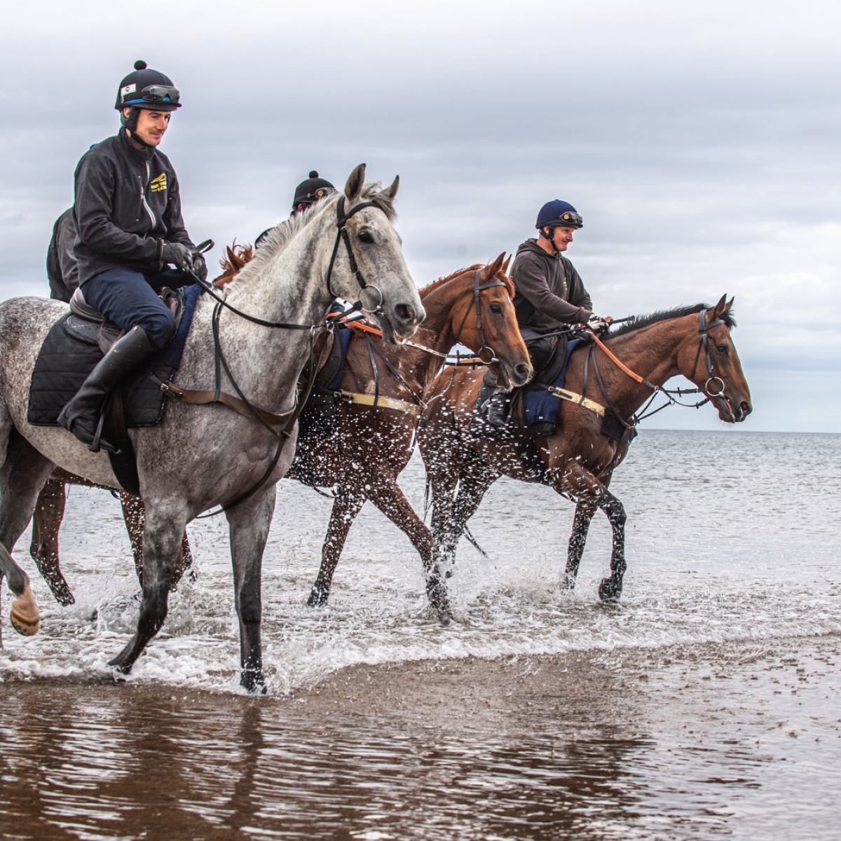 Gallery – Sandy Thomson Racing