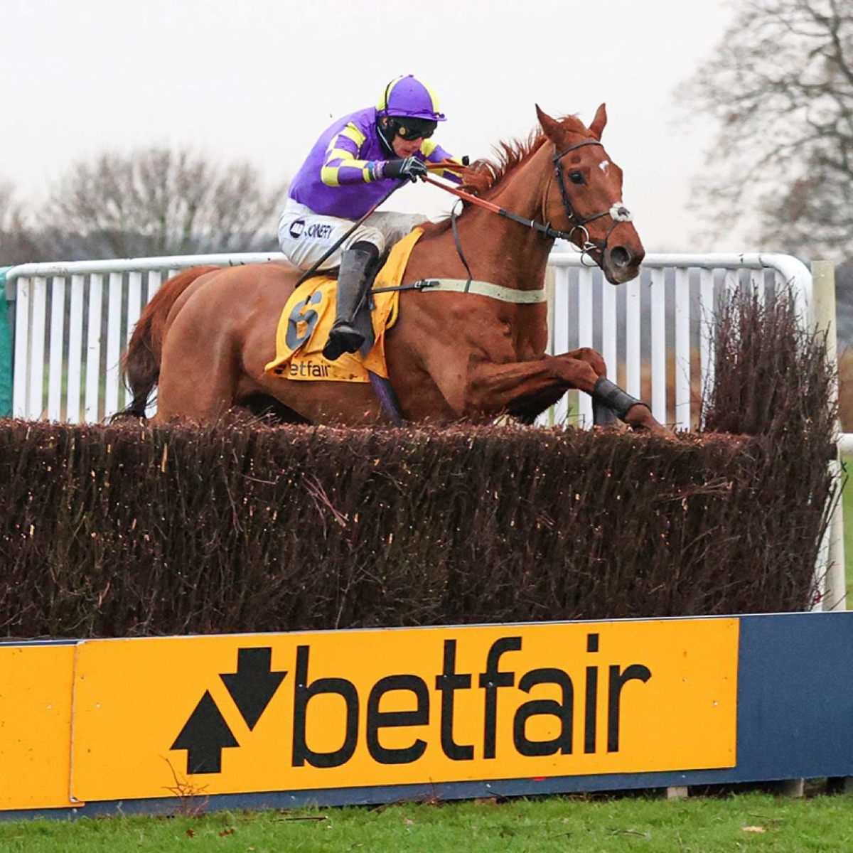 Gallery – Sandy Thomson Racing